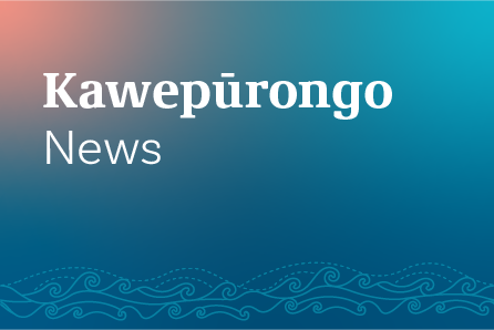 Hauora hinengaro: He ara tūroa: Mental Health: An enduring pathway ...